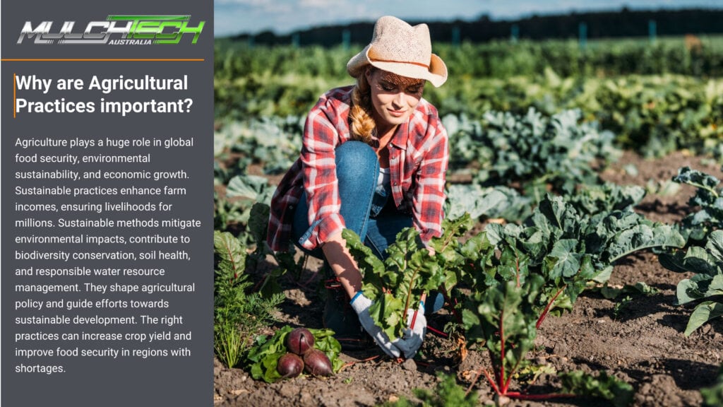 Types Of Farming Practices Traditional And Modern Farming: What You