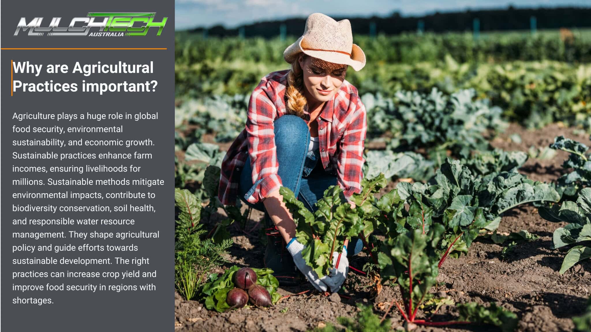 Agricultural Practices | Mulchtech - Mulchers | 0439 666 535 ...