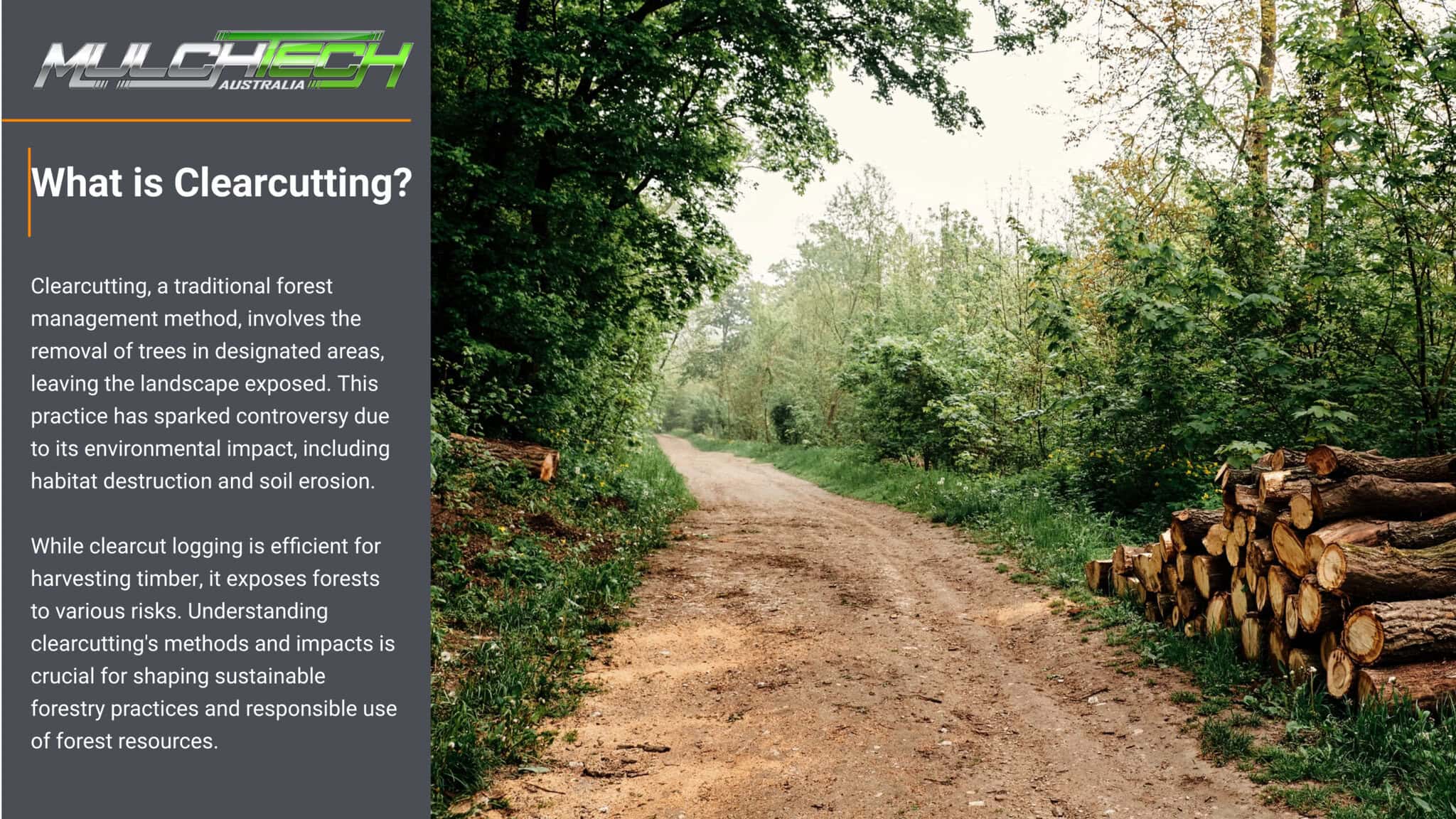 Clearcutting | Mulchtech - Mulchers | 0439 666 535 | Timber Harvesting ...