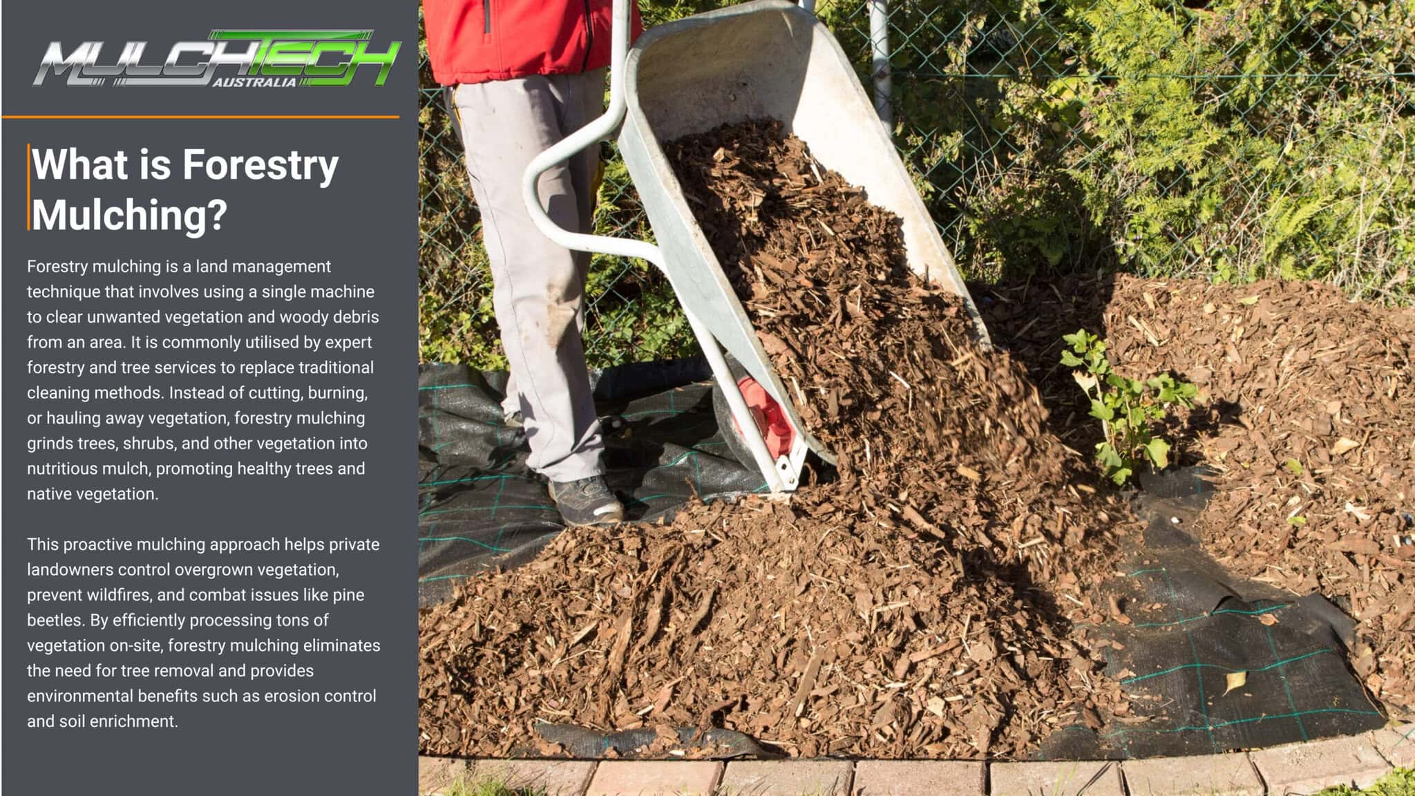 Tree Mulching Techniques How To Mulch Trees And Shrubs | Mulch Types