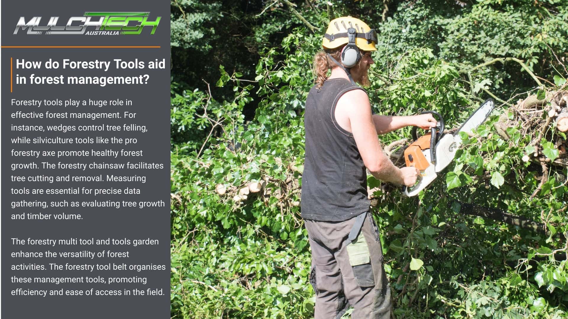 Forestry Tools | Mulchtech - Mulchers | 0439 666 535 | Logging ...