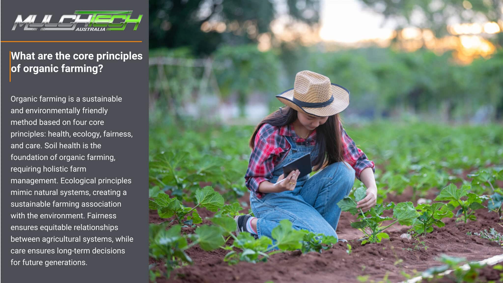 Organic Farming | Mulchtech - Mulchers | 0439 666 535 | Sustainable ...