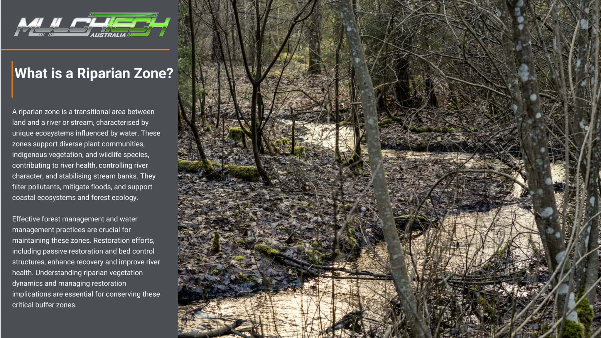 Riparian Zone | Mulchtech - Mulchers | 0439 666 535 | Streamside ...