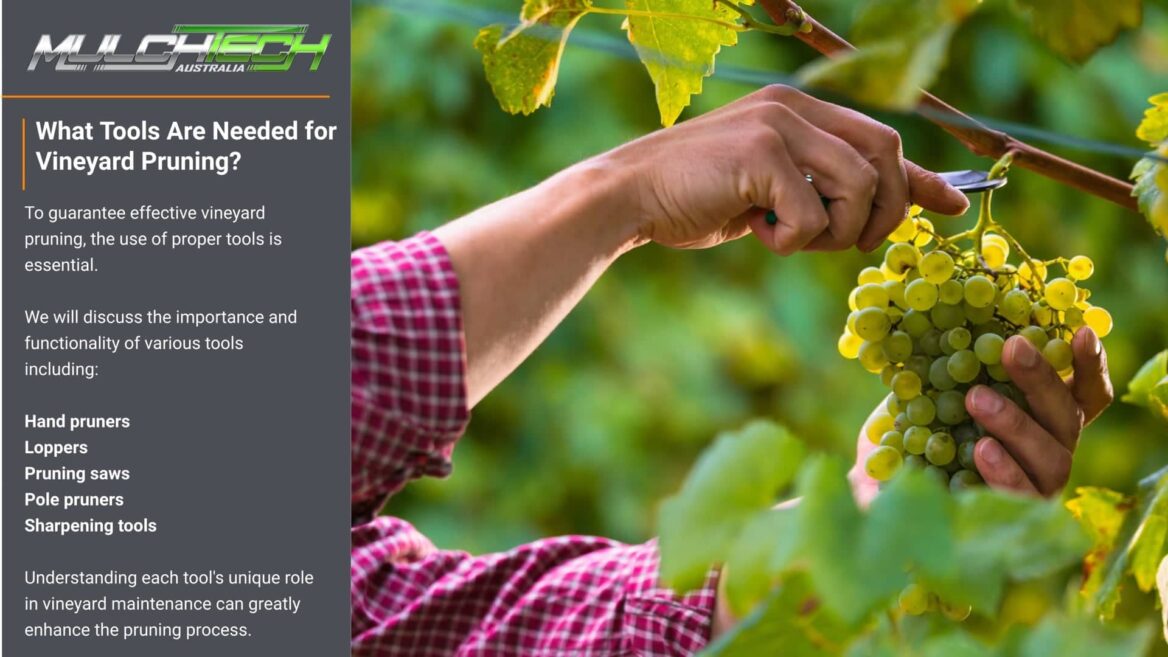 Vineyard Pruning and Maintenance | Mulchtech - Mulchers | 0439 666 535 ...