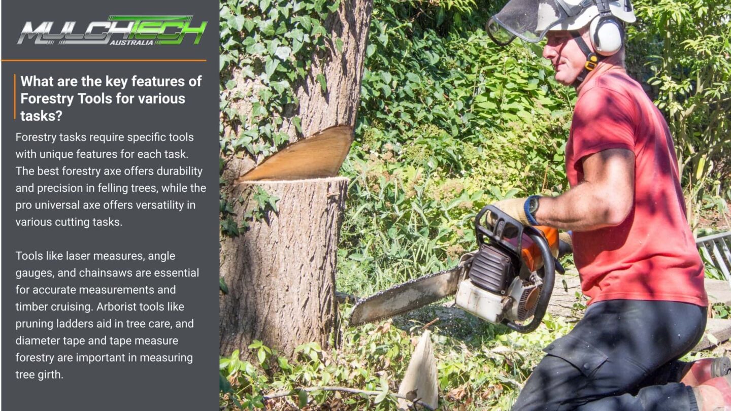 Forestry Tools | Mulchtech - Mulchers | 0439 666 535 | Logging ...