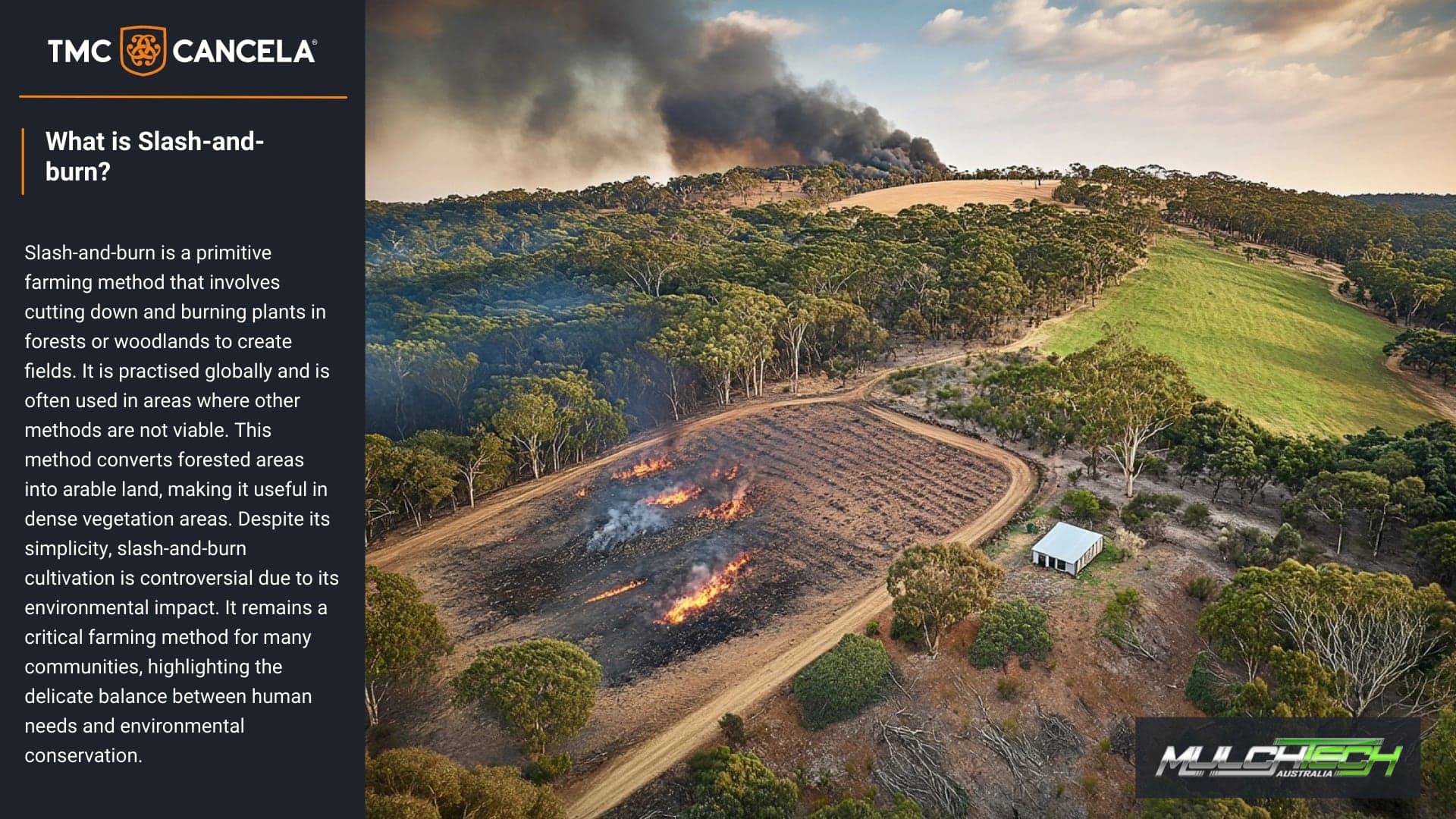 Slash-and-Burn | Mulchtech - Mulchers | 0439 666 535 | Shifting ...